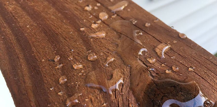 Quais são as Madeiras Resistentes à Água ? Veja Aqui!